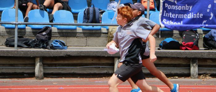 BOT – Ponsonby Intermediate